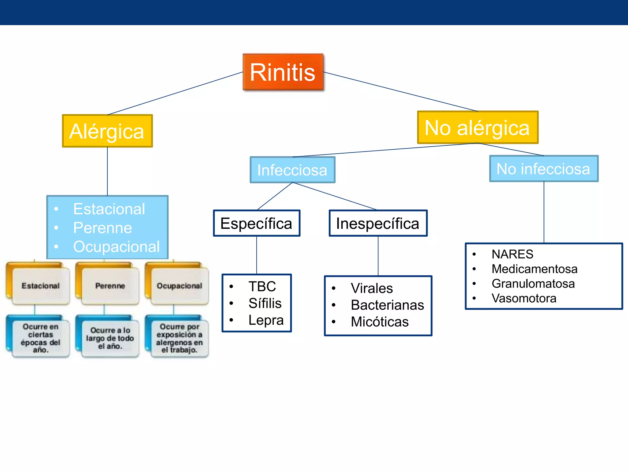 Rinitis Ppt Descarga Gratuita
