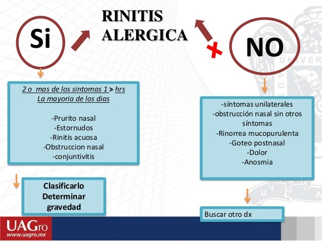Rinitis alergica
