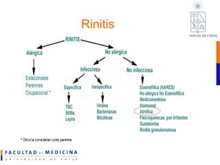 Rinitis atrófica | PPT