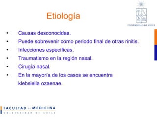 Rinitis atrófica | PPT