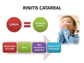 Rinitis final | PPTX