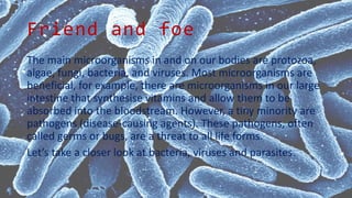 Microorganisms our friends | PPTX | Infectious Diseases | Diseases and ...