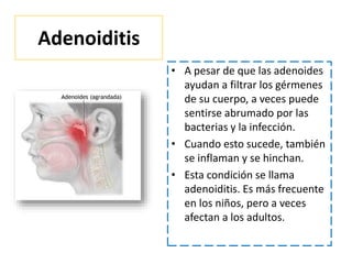Rinofaringitis y Adenoiditis en Pediatria | PPTX
