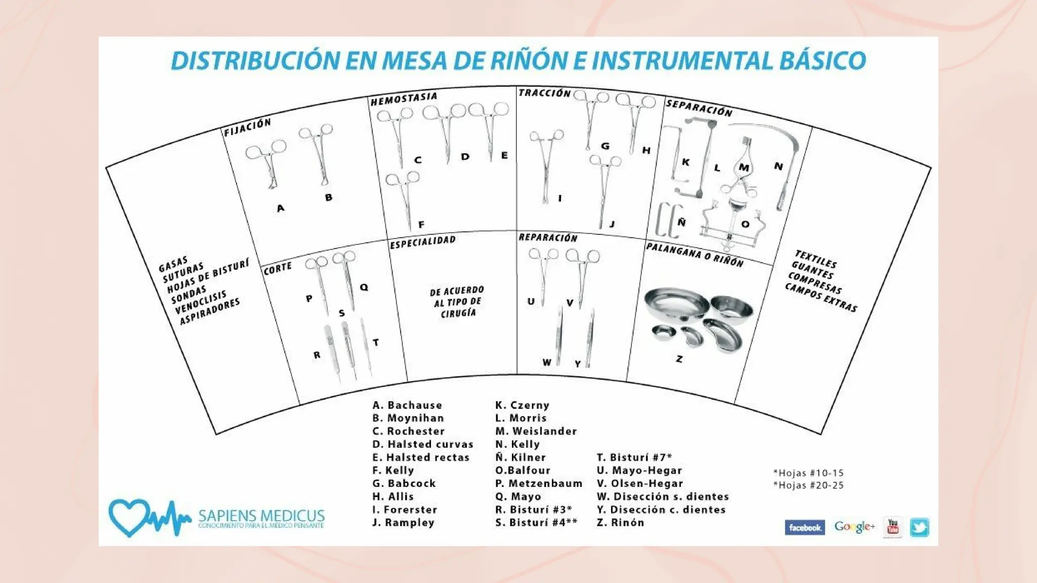 Mesa De Riñon Y Mesa De Mayo Asi Como Instrumental Pdf