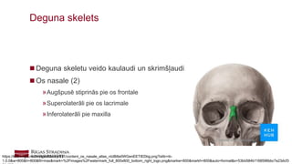 Rinoplastika un deguna rekonstrukcija | PPTX