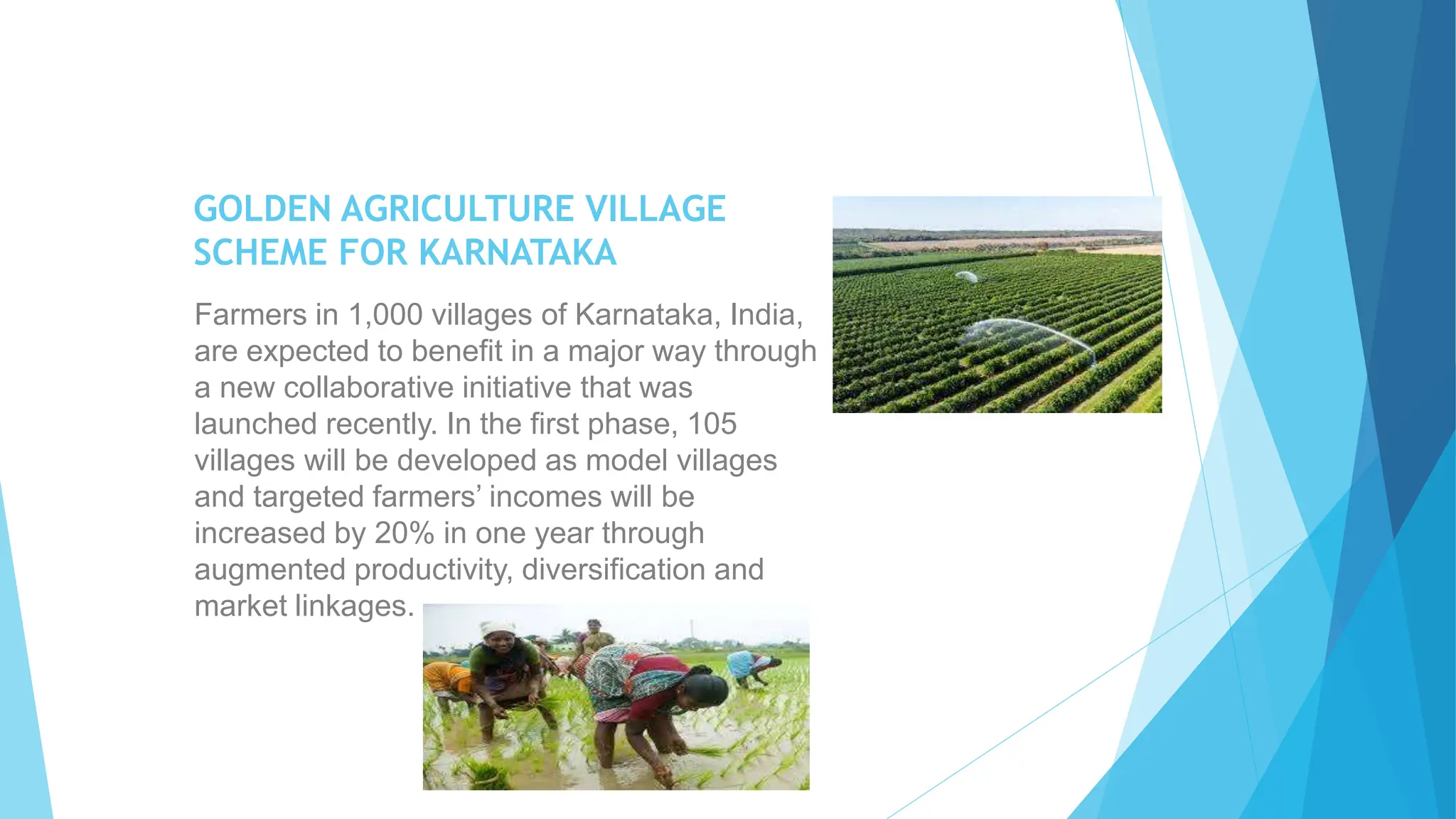 Rintu Rajput Rural Development.pptx