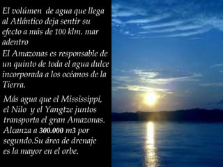 Rio Amazonas | PPS