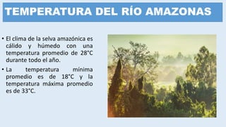 RIO AMAZONAS DE HISOTIRA 4 BASICO2 .pptx