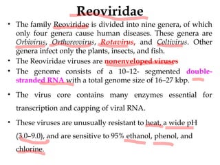 rio and rabidoviridae.pptxShow Ahdvanced | PPT