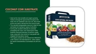 RIOCOCO presents 100% natural coir substrate products at feasible rates ...