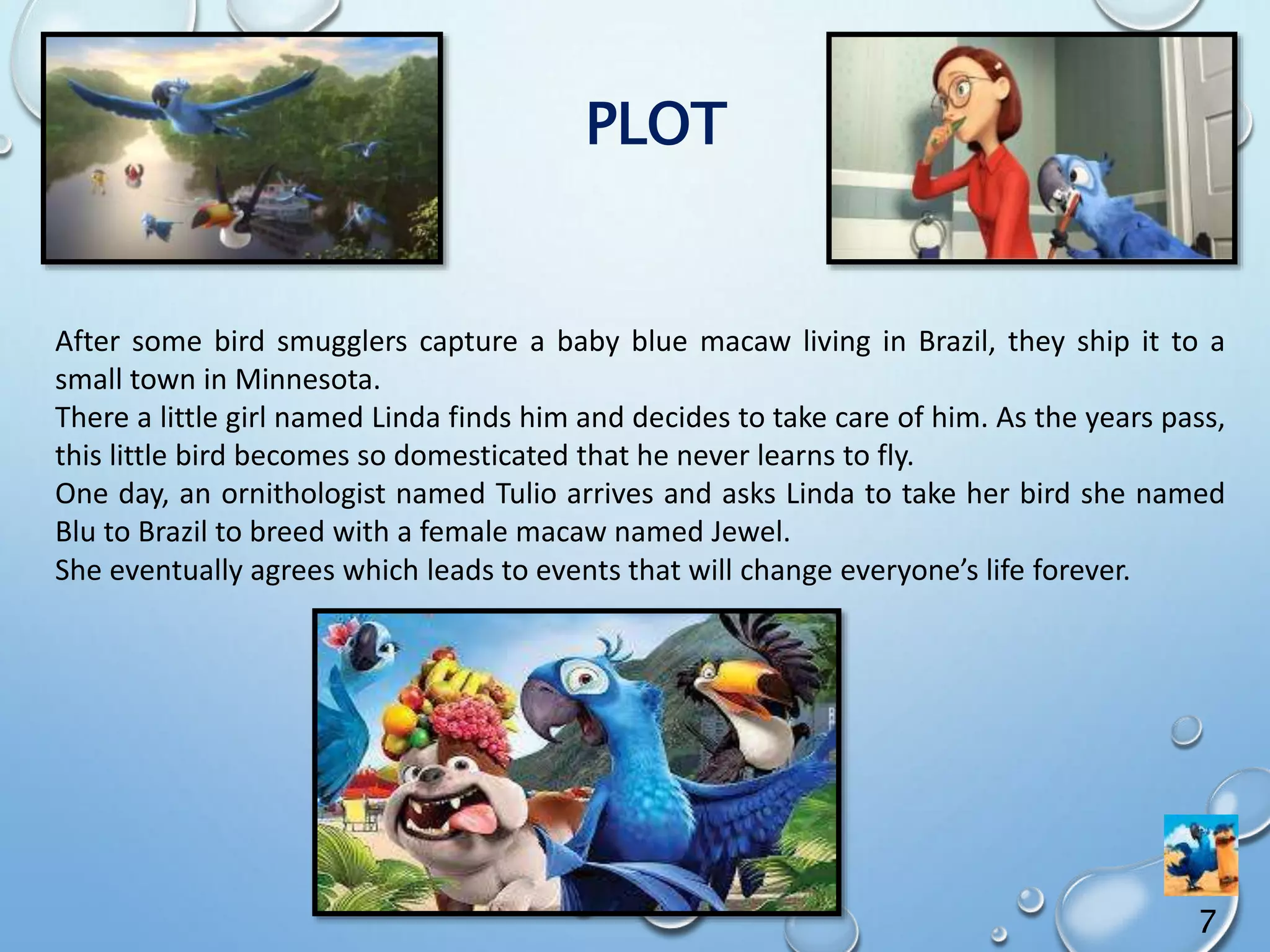 Rio (film) 2011 ppt | PPTX