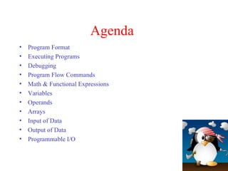 RIO Application Programming | PPT