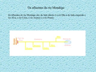 Rio Mondego -Ana Filipa | PPT