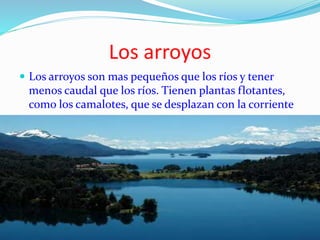 Rios y Arroyos | PPTX