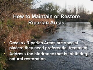 Riparian stream restoration bosque river stephenville | PPT