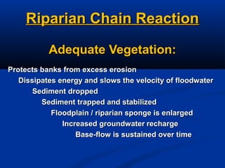 Riparian stream restoration bosque river stephenville | PPT
