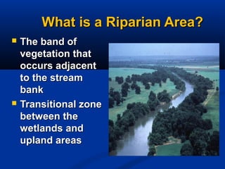Riparian stream restoration bosque river stephenville | PPT