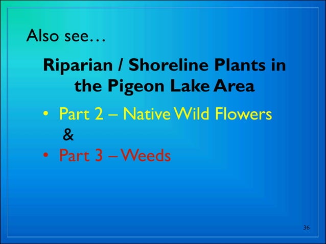 Riparian plants part 1 display version | PPT
