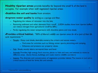 Riparian plants part 1 display version | KEY