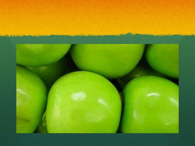 Rip bains food photos | PPTX