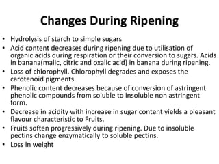 RIPENING.pptx