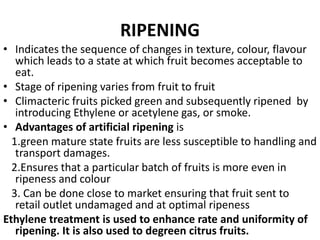 RIPENING.pptx