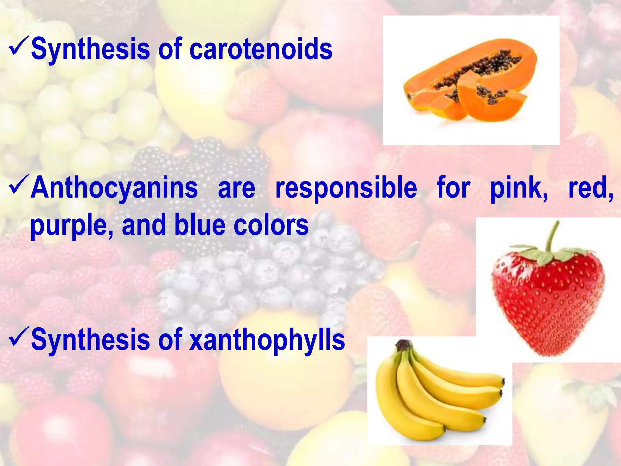 Ripening changes in fruits | PPTX