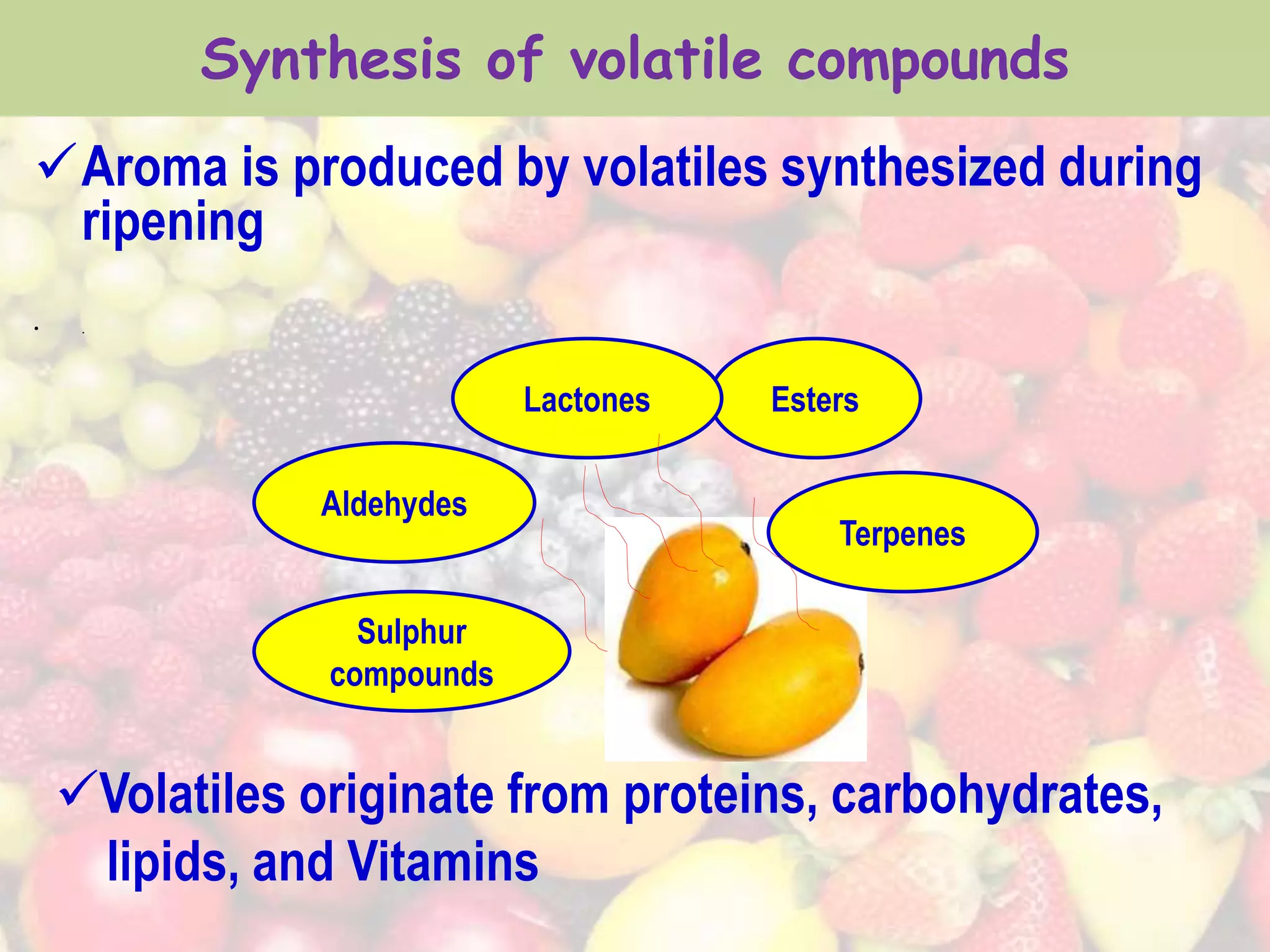 Ripening changes in fruits | PPTX