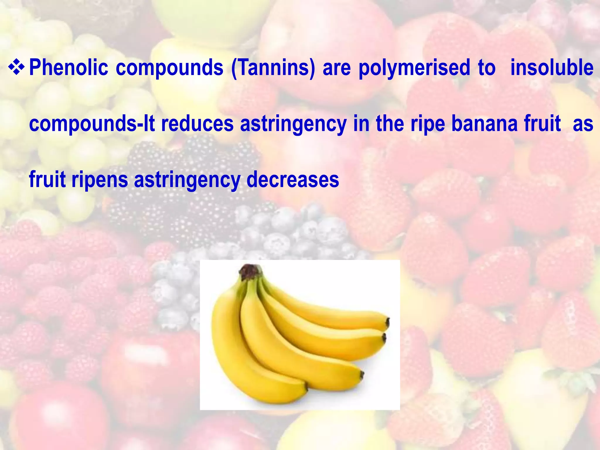 Ripening changes in fruits | PPTX