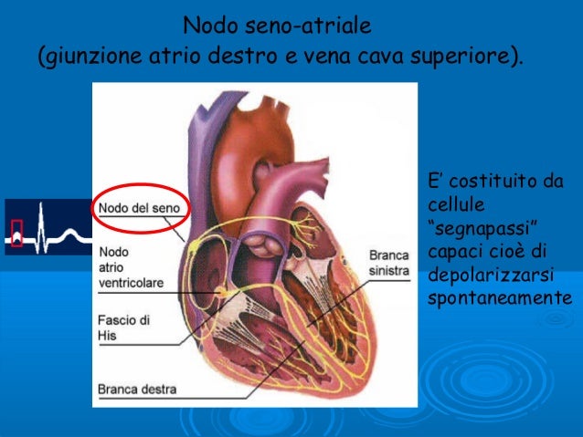 Ripetizioni di elettrocardiografia