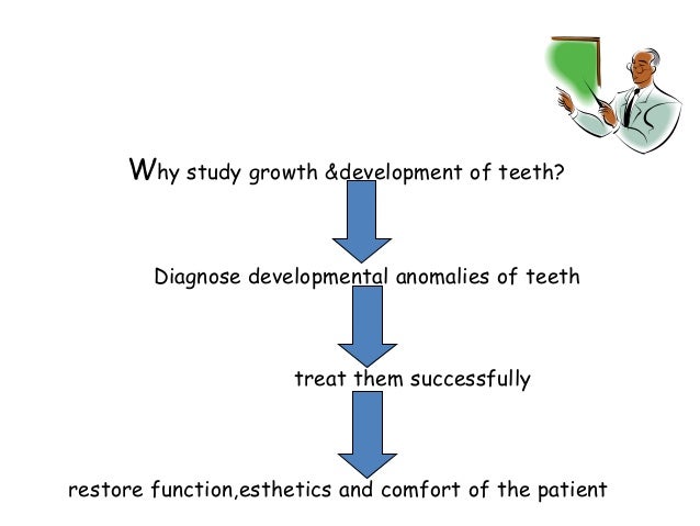 Development of Tooth | PPTX