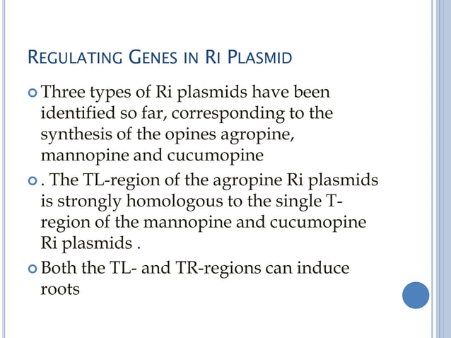 Ri Plasmid | PDF