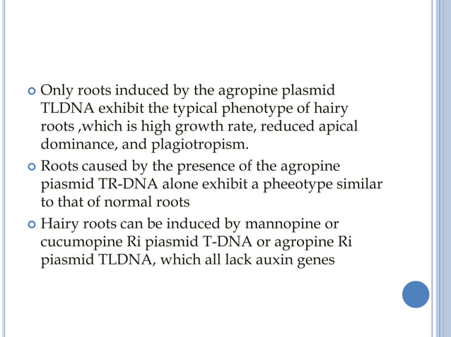 Ri Plasmid | PDF
