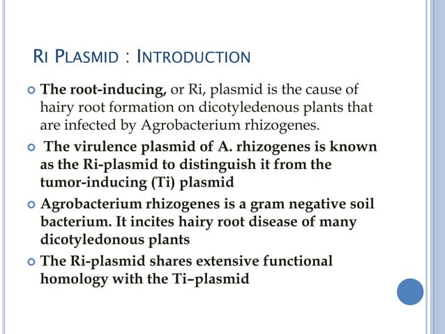Ri Plasmid | PDF