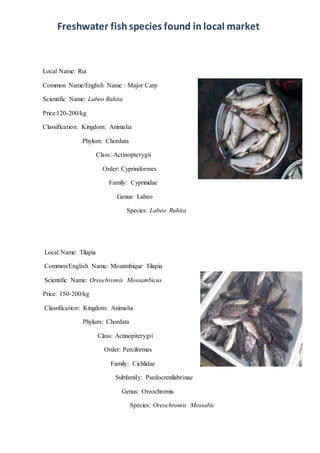 Ripon | DOCX | Fish and Aquariums | Pets