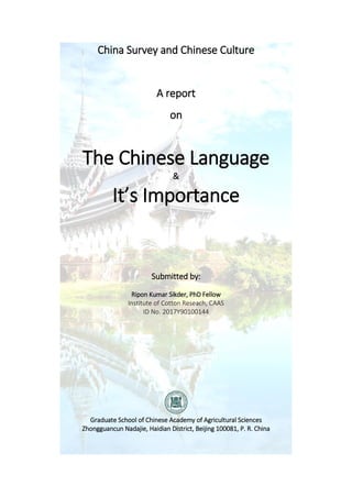 Chinese Language and it's importance | PDF