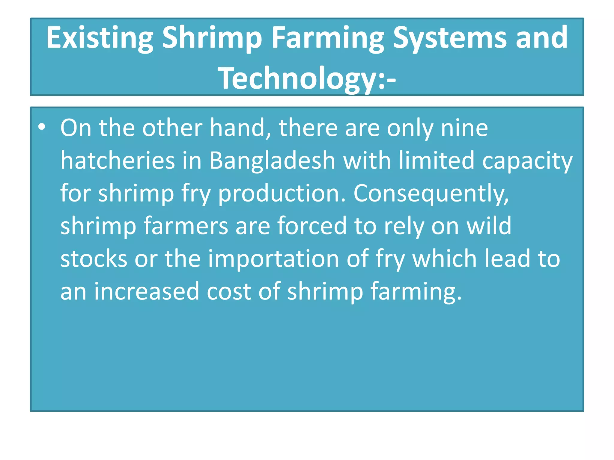 Presentation on Shrimp of Bangladesh. | PPTX