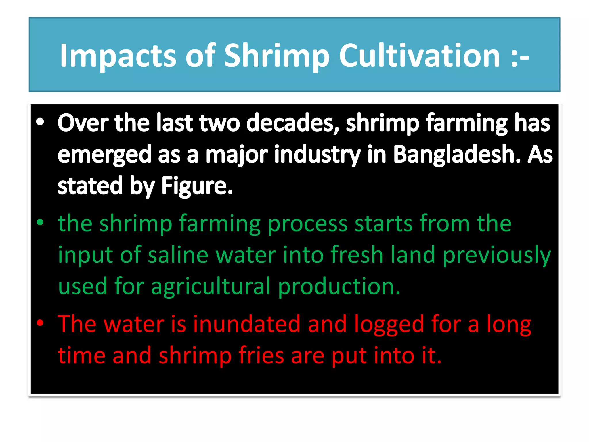 Presentation on Shrimp of Bangladesh. | PPTX