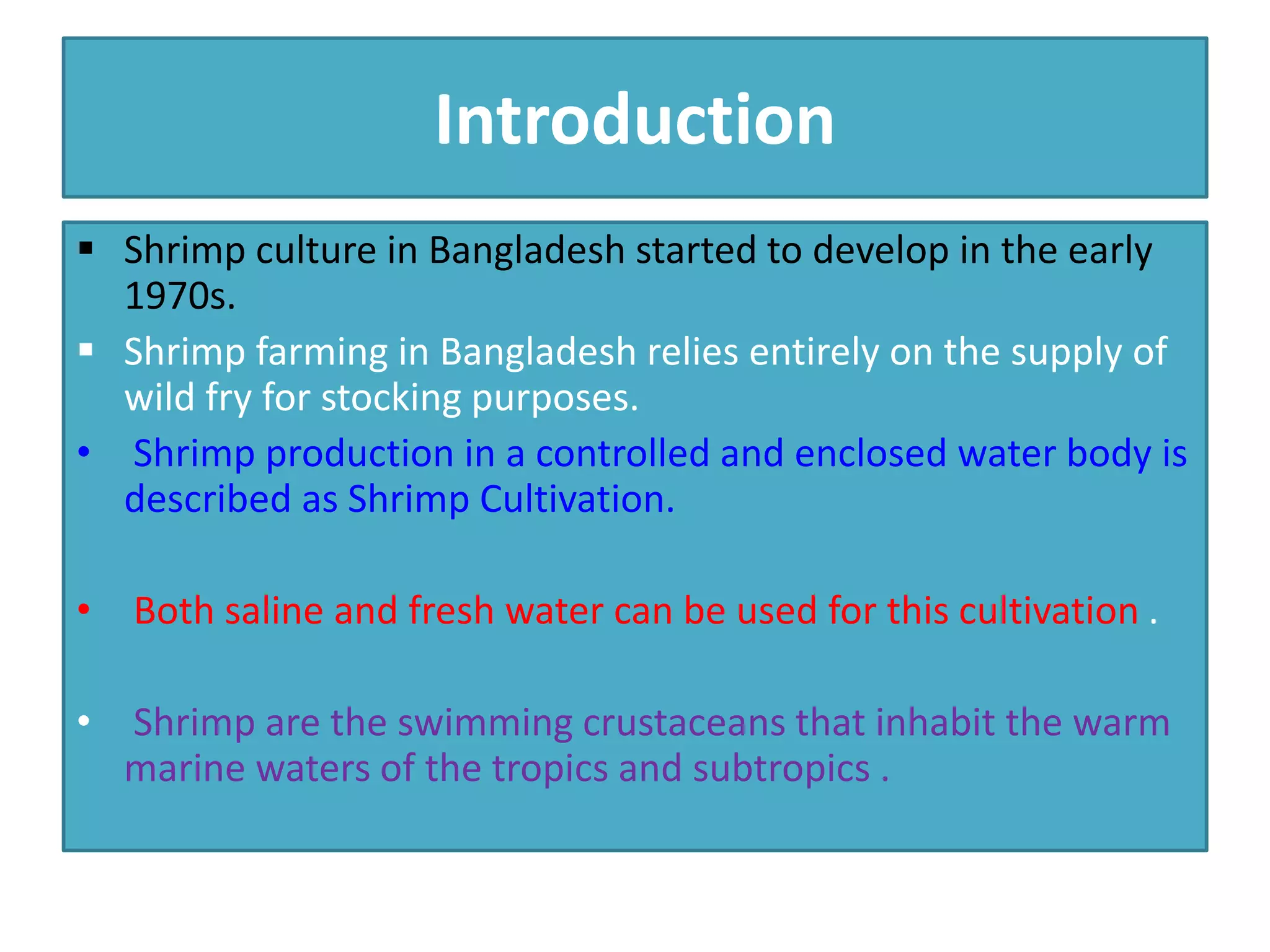 Presentation on Shrimp of Bangladesh. | PPTX
