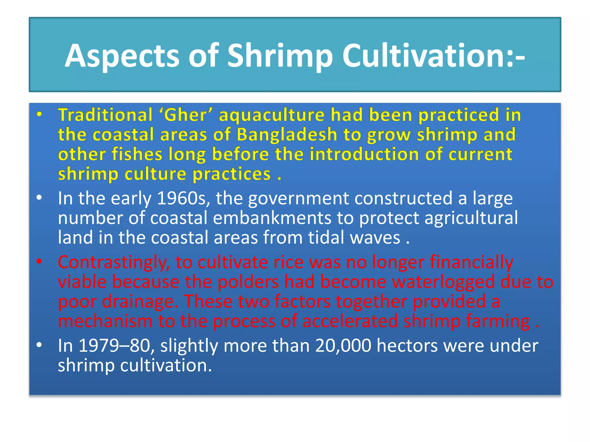 Presentation on Shrimp of Bangladesh. | PPTX