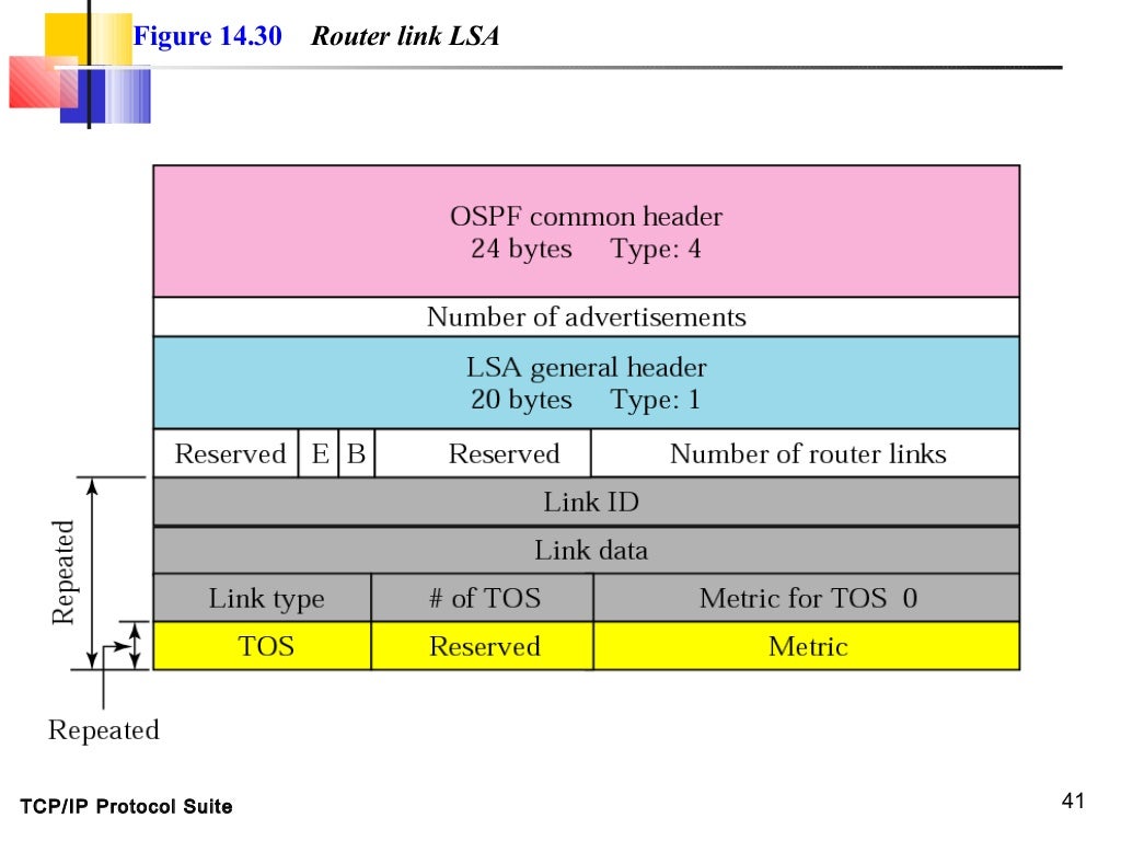 Rip ospf and bgp