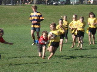 Ripper Rugby World Cup | PPT