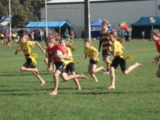 Ripper Rugby World Cup | PPT