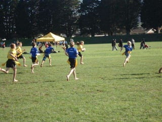 Ripper Rugby World Cup | PPT