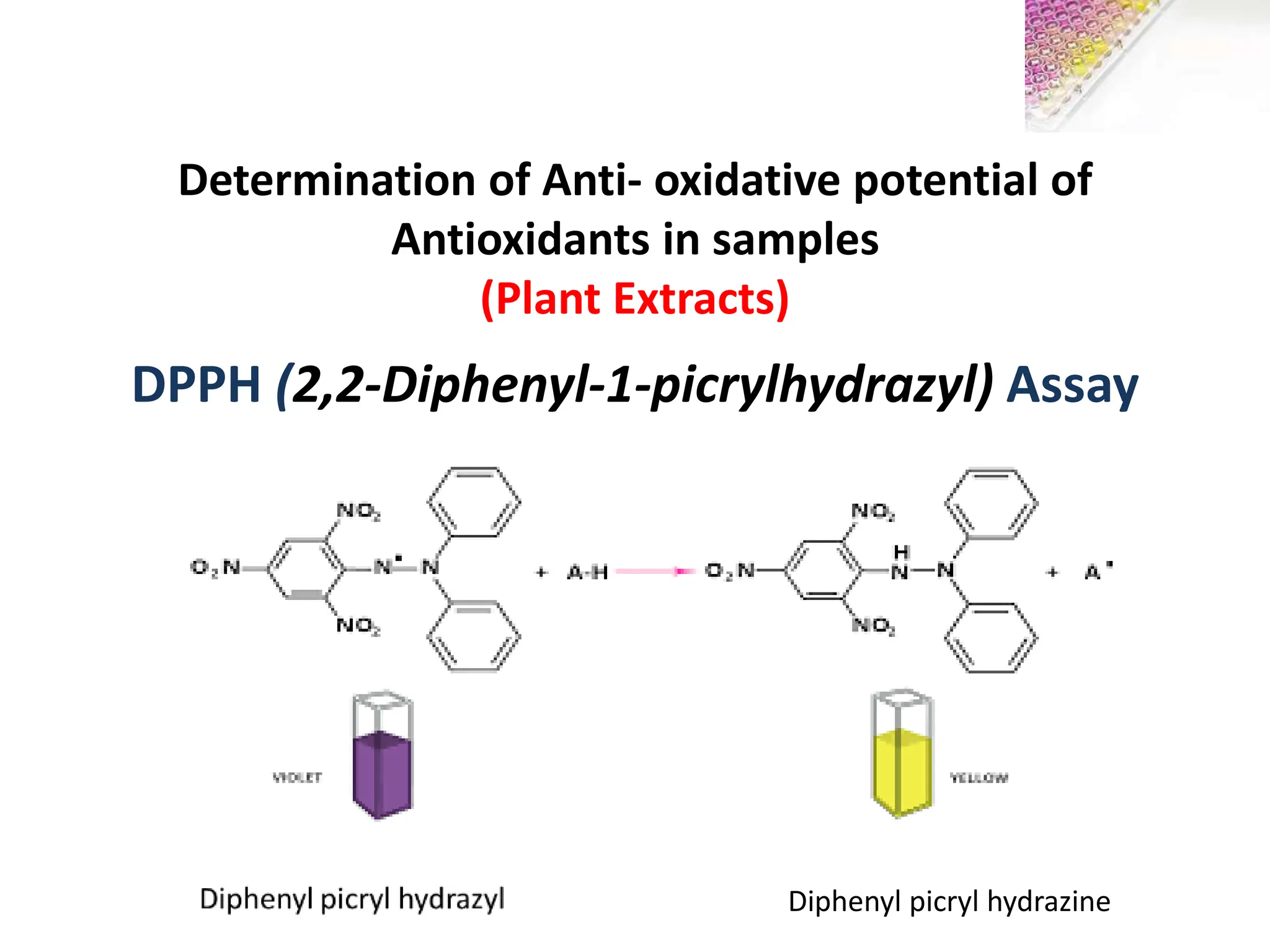 DPPH radical scavenging assay via micrototre plate method.pptx