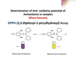 DPPH radical scavenging assay via micrototre plate method.pptx