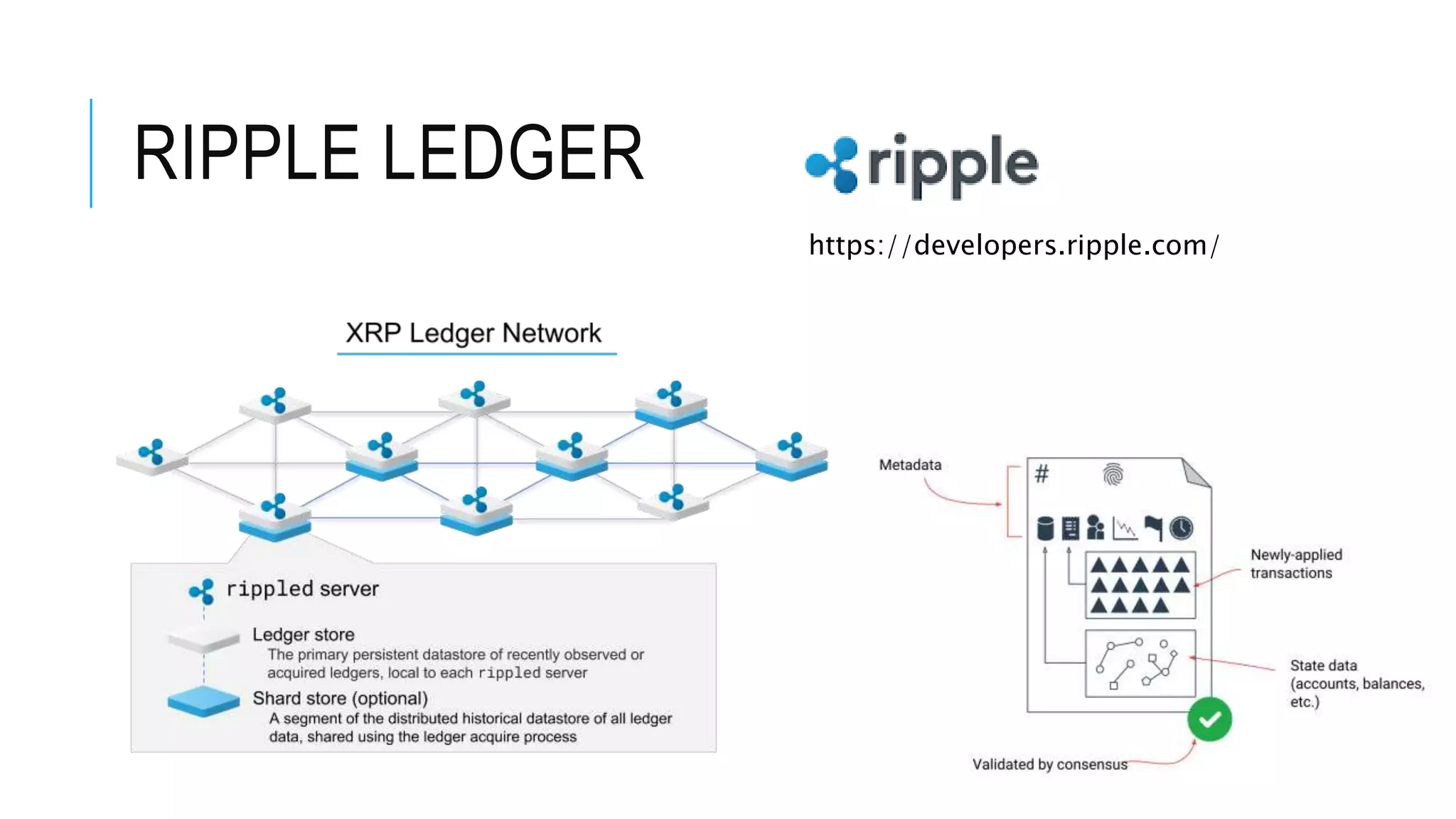 Ripple | PPT