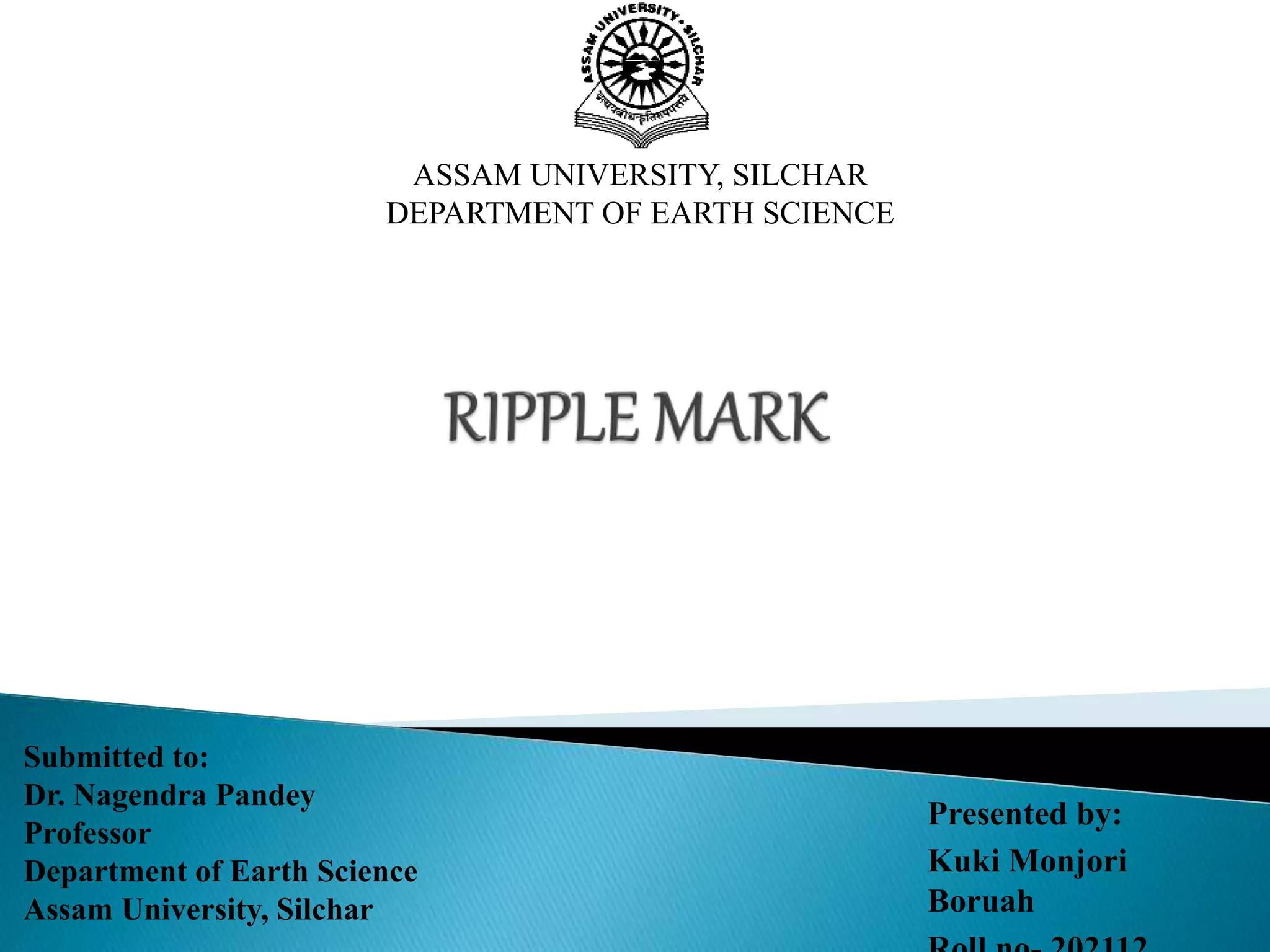 RIPPLE MARK.pptx