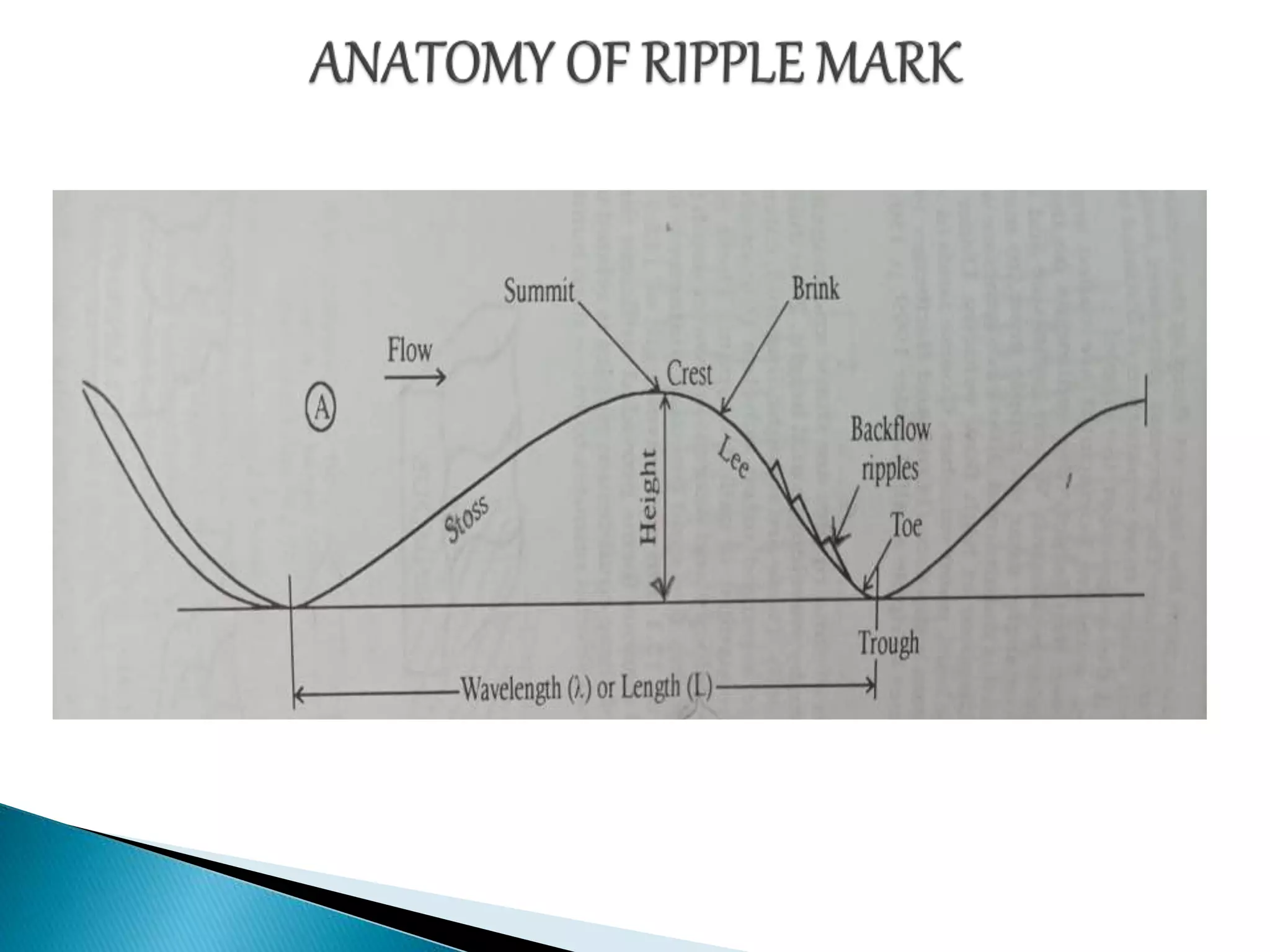 RIPPLE MARK.pptx