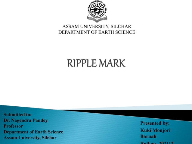 RIPPLE MARK.pptx